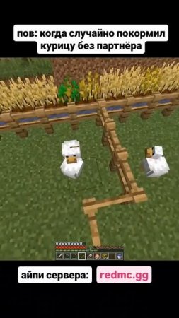 айпи сервера: redmc.gg | #майнкрафтмемы #майнкрафтприколы #майнкрафт