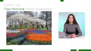 Green Planet Синергия урок Стили в ландшафтном дизайне