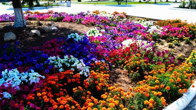 Ролик ко дню города праздники