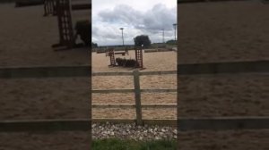 Kelly and theo kings arena hunter trial 13.9.15
