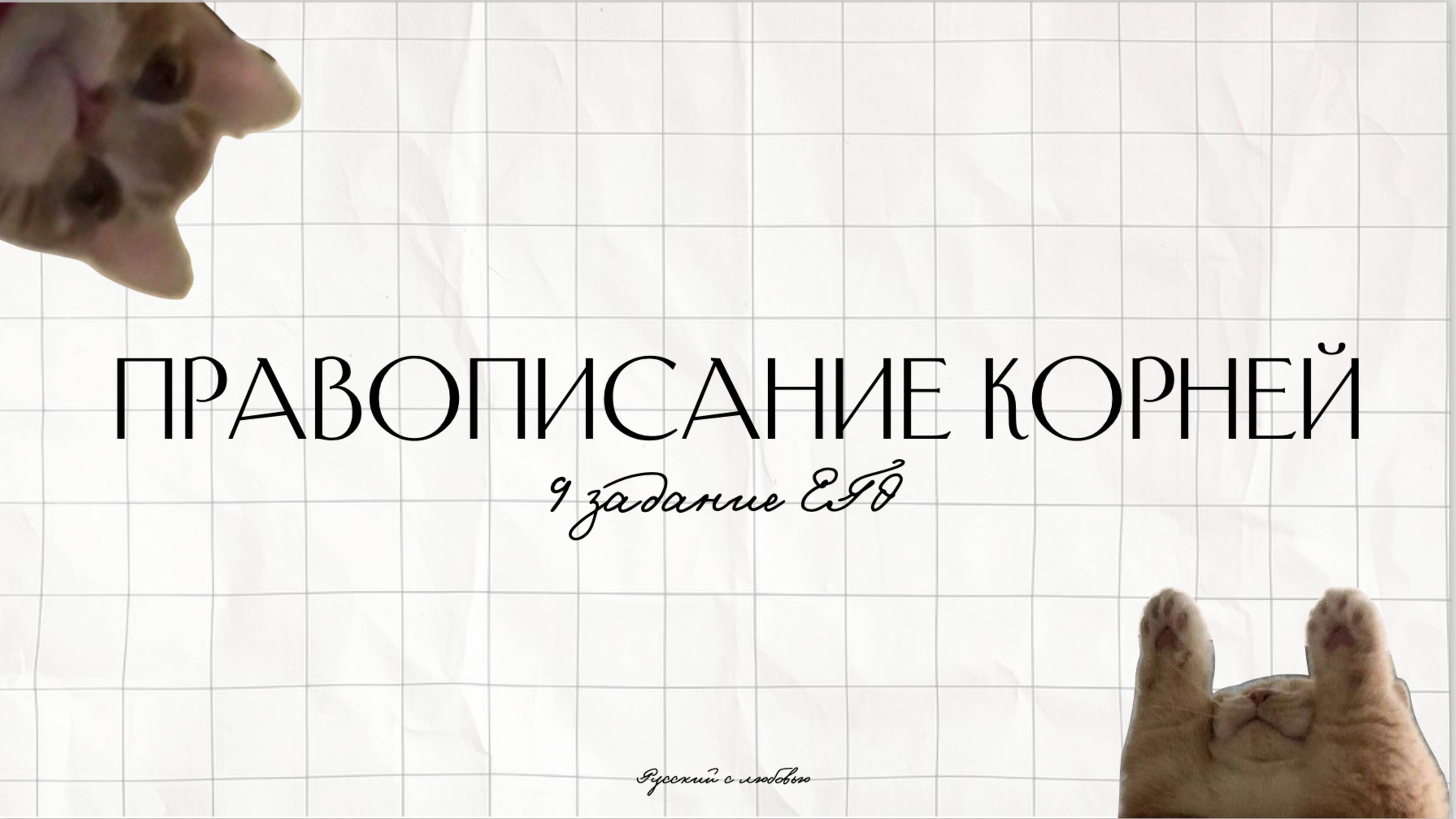 Урок 3. Правописание корней. 9 задание ЕГЭ по русскому 2025.