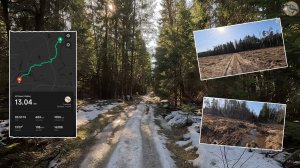 Дорога домой с участка пешком 8 марта. 13км по старой просеке от УЖД из СССР.
