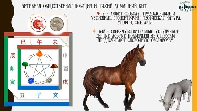 Серия вторая.  Психологические аспекты сочетания домов земных ветвей в карте рождения