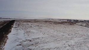 Дневник погоды. Весна 2025. 11 марта