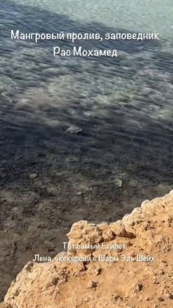 Кого можно увидеть в заповеднике ?