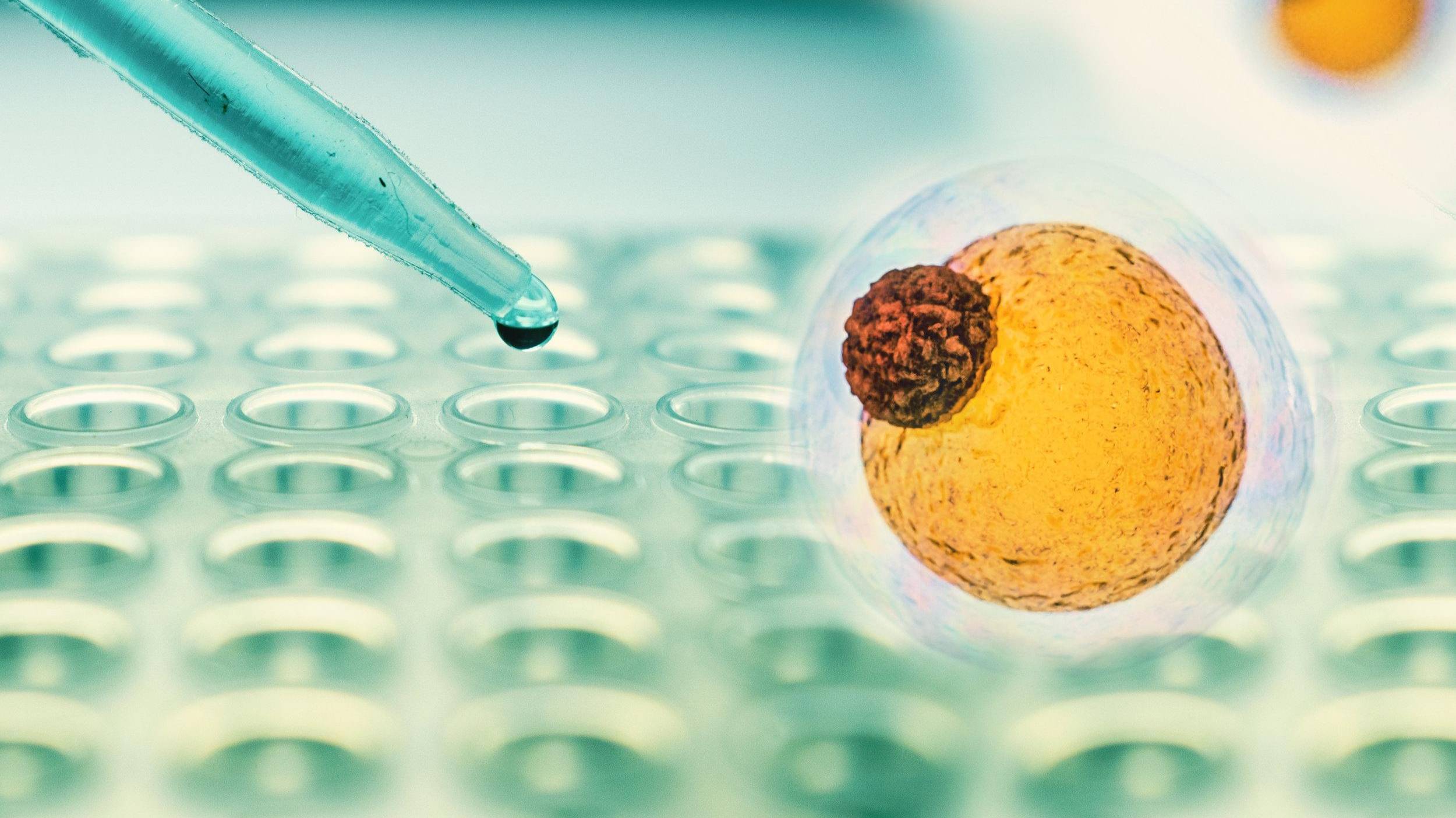 Большой прорыв в борьбе со старением