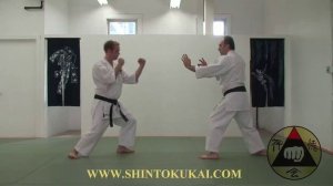 Okinawa Shorin-ryu Karate: Parent Style of Shotokan (clip 7)