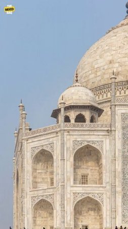 Amazing 🤩❤️ Photos of Tajmahal #shorts #crazyxyz #mrbeast #mrindianhacker #sauravjoshivlogs #agra