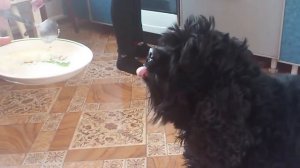 кушаем манную кашу.mp4