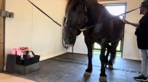 Auntie Advice Goes Horseback Riding At The Salamander Resort and Spa!