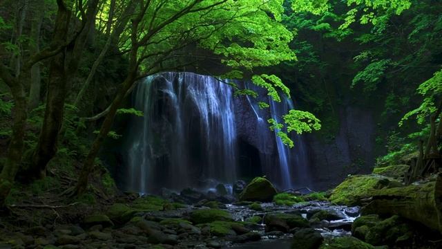 СПОКОЙНАЯ АТМОСФЕРА ЯПОНСКОГО ВОДОПАДА С РАССЛАБЛЯЮЩИМИ ЗВУКАМИ ВОДЫ ДЛЯ СНА И ОТДЫХА.