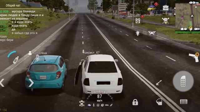 играю с котАленой в мадаут2