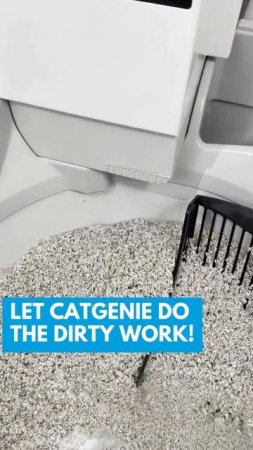 Let CatGenie do the dirty work for you #cats #cat #shorts #catgenie