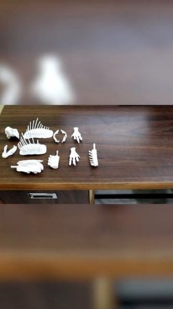 Trex Skeleton 3d printed #shorts