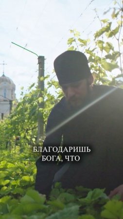 Спасенный сезон | Паломница