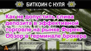 Как не допустить слива депозита в эффективной торговле на рынке Форекс. Обзор в терминале брокера