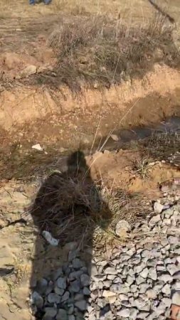 Заезд на участок  с плитами