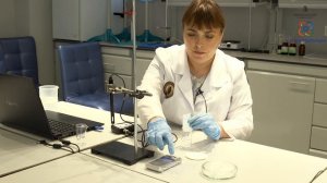 Практическая работа "Поведение в растворах малорастворимых оснований"