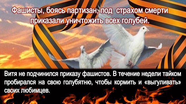 Кочина К. Буктрейлер