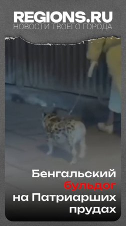 В столице красиво жить не запретишь