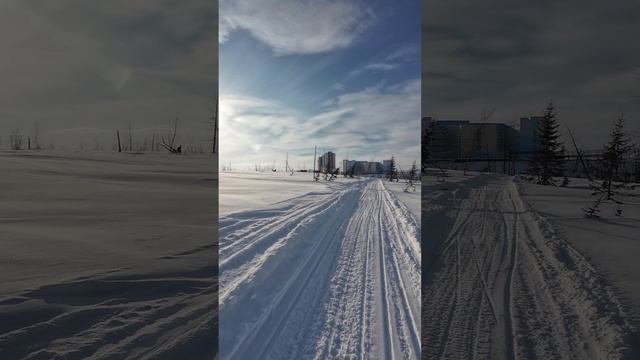 12.03.2025. Лыжная тренировка. День 3.
