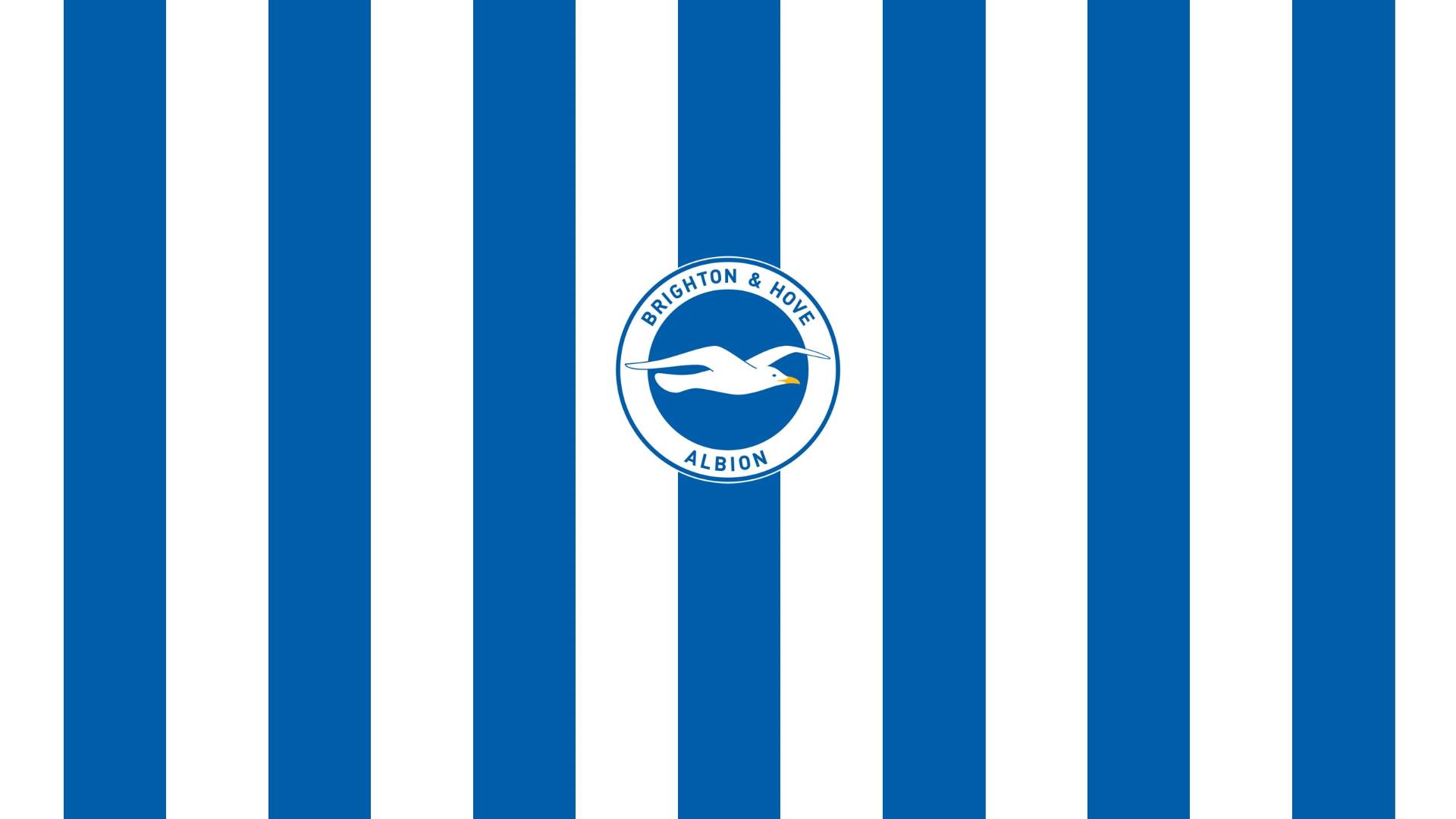 15-й тур   Брайтон-Вулверхэмптон