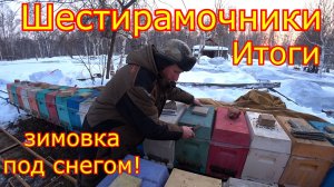Зимовка ПЧЁЛ на ВОЛЕ под СНЕГОМ в ШЕСТИРАМОЧНИКАХ! ИТОГИ зимовки!