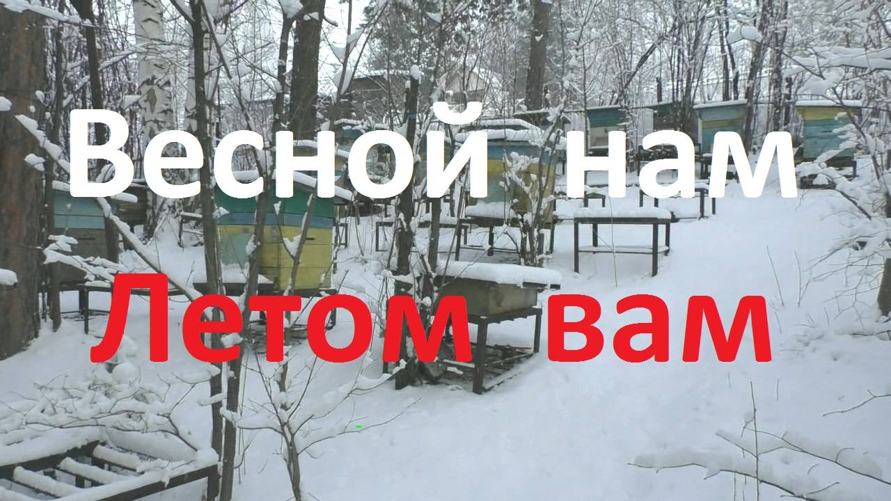 Главное, чтобы у пчел весной было все в достатке
