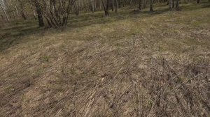 "Экспертное мнение". Выпуск 120