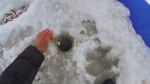 Рыбалка на Кумбыше