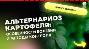 Альтернариоз картофеля особенности болезни и методы контроля