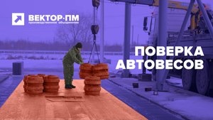 Поверка платформенных автомобильных весов для компании СПЕЦСНАБ