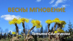 Весны мгновение. Татьяна Свистунова