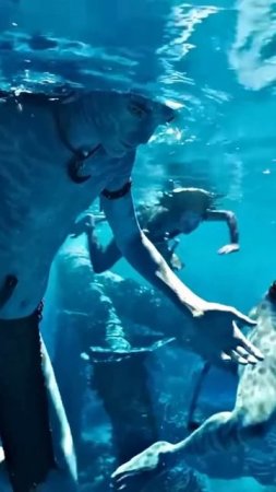 Loak and Tsireya Ocean Eyes #avatar #oceaneyes #billieeilishoceaneyes #avatar2thewayofwater