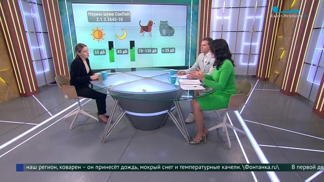 В каких случаях лай и мяуканье — вне закона?