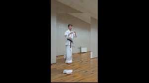 Хвост дракона.  A dragon tail kick