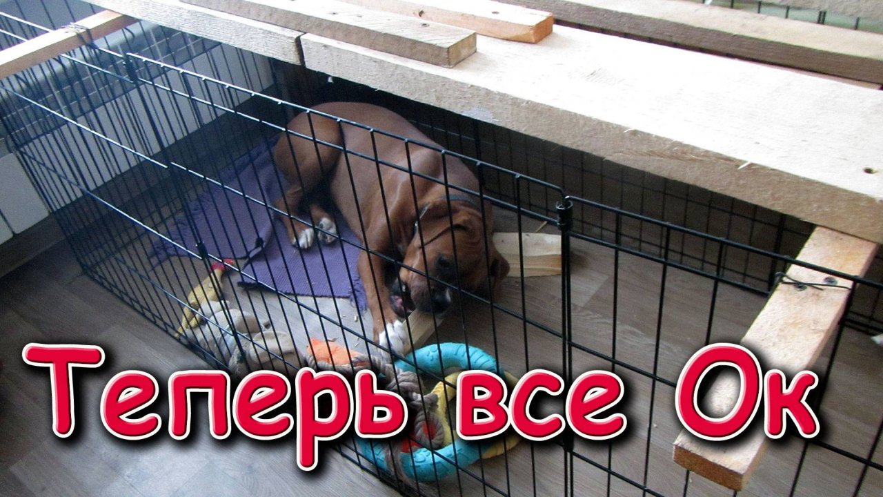 Сделал вольер собаке. Забрал ГУР. Поставил - протестировал. (03.25г.) Семья Бровченко