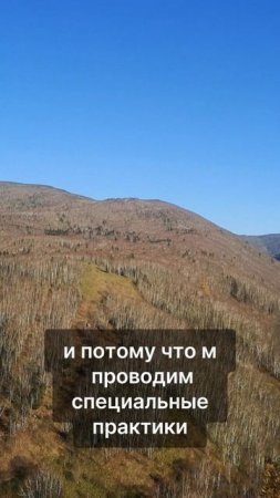 Чаши Сахалин