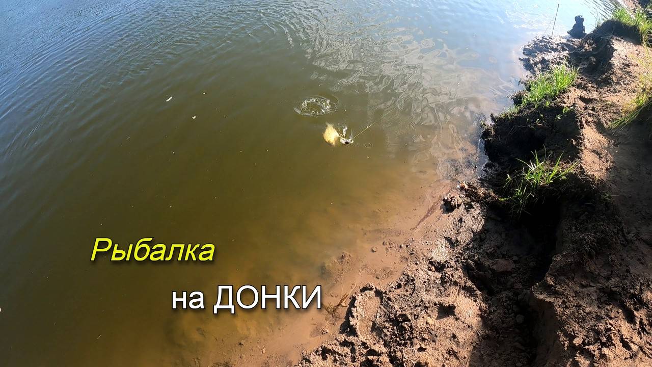 Летняя рыбалка на донки в лютом коряжнике