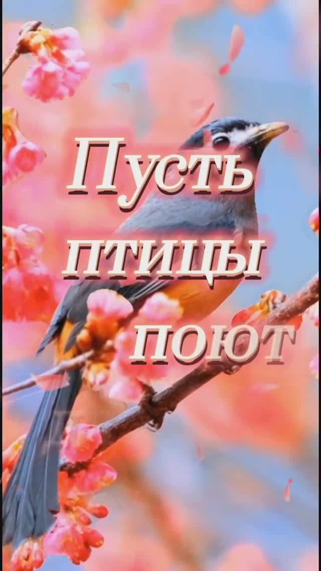 Весеннего настроения