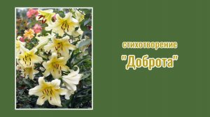 Доброта (автор стихов Андрей Дементьев, читает Светлана Щитникова)
