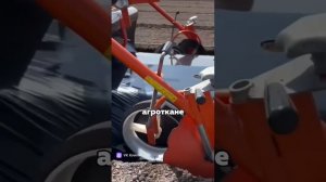 китайский зелёный лук