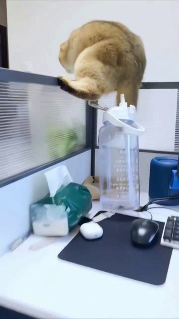 Бывает