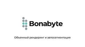 Объемный рендеринг и автосегментация
