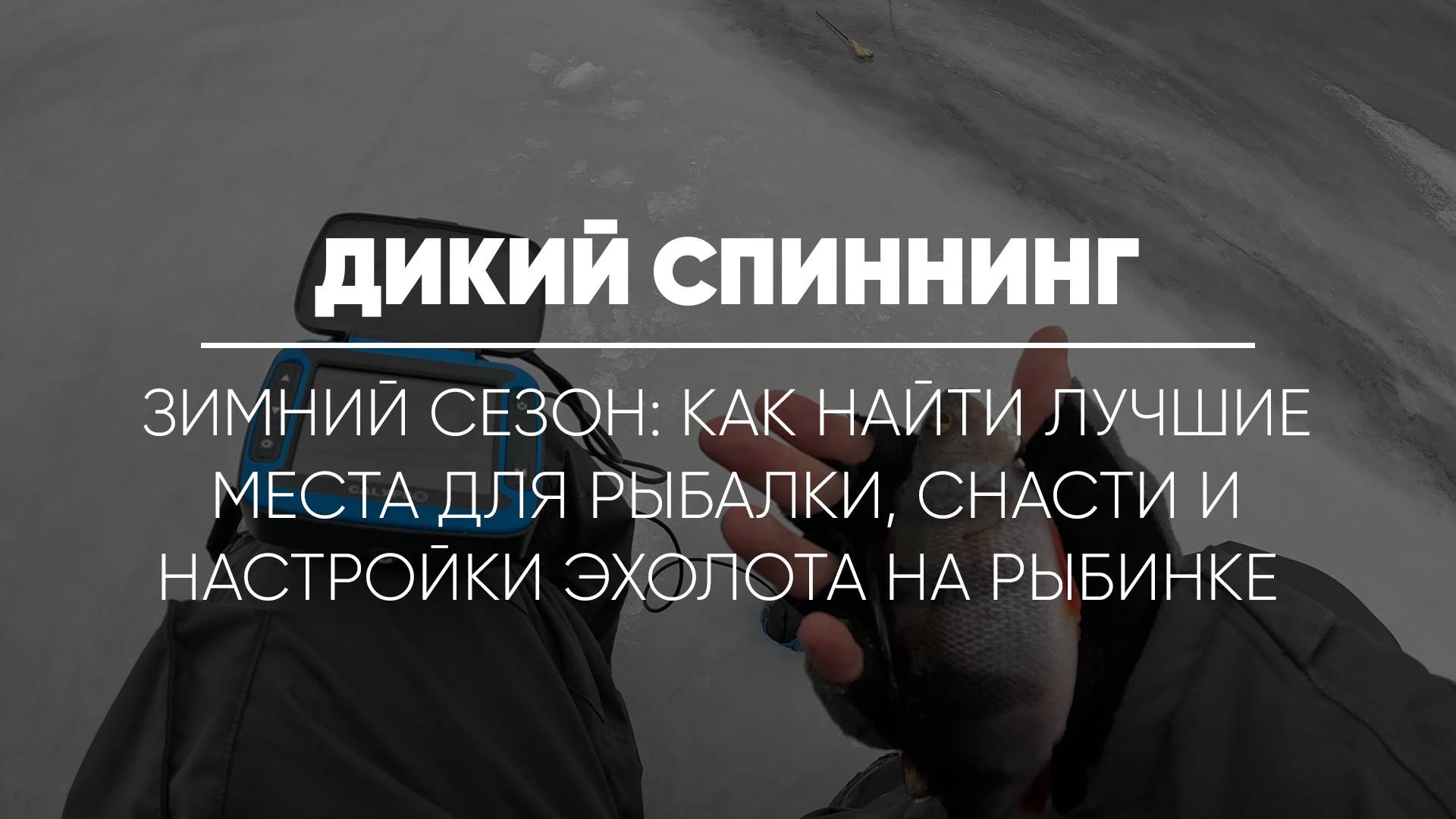 ДИКИЙ СПИННИНГ // Зимний сезон: поиск лучших мест для рыбалки, снасти, настройки эхолота на Рыбинке