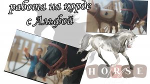 ~(♤Работа на корде с Альфой♤)~