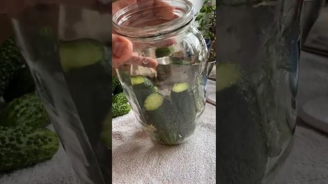 Простой и вкусный рецепт солёных огурчиков на зиму #соленыеогурцы #закатки