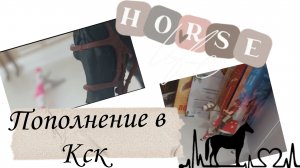 ~Пополнение в Кск _(новая кобыла)_~
