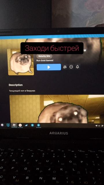 Заходите в роблокс в игру, танцующий пагу мем бэкрум. Я жду вас.🤗😀