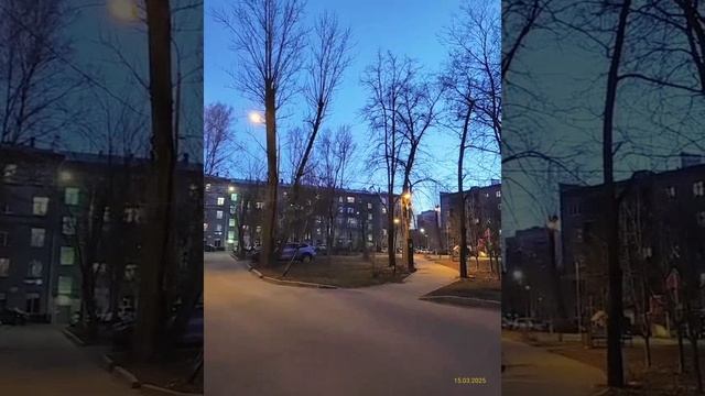 Moscow, Marfino district 15.03.2025